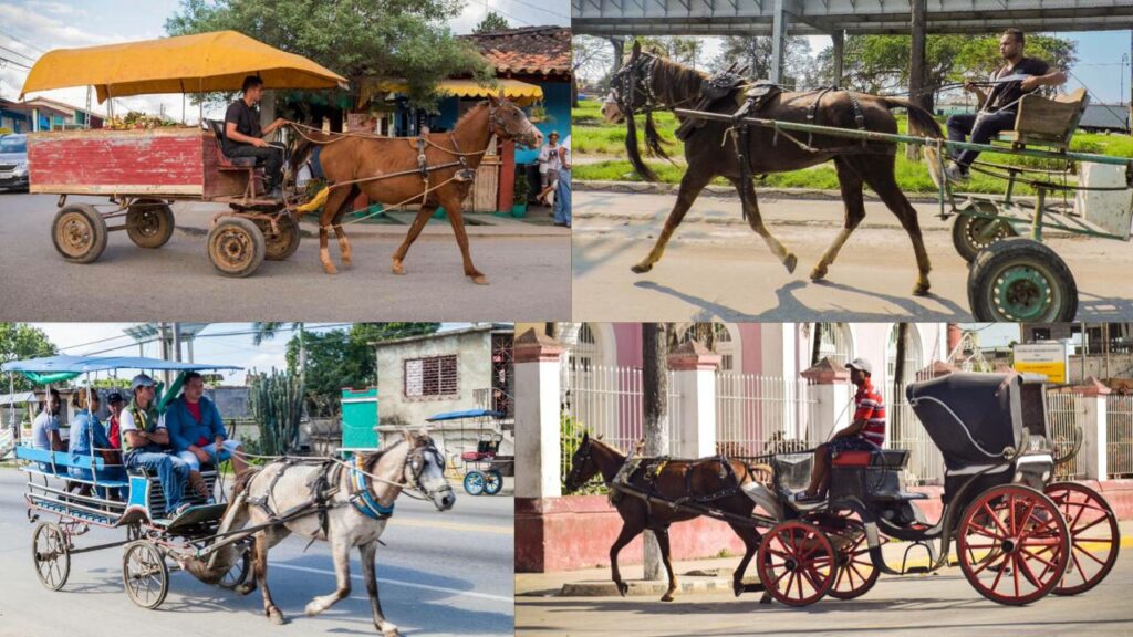 ¡Cochero, pare! – Blog MultiCuba