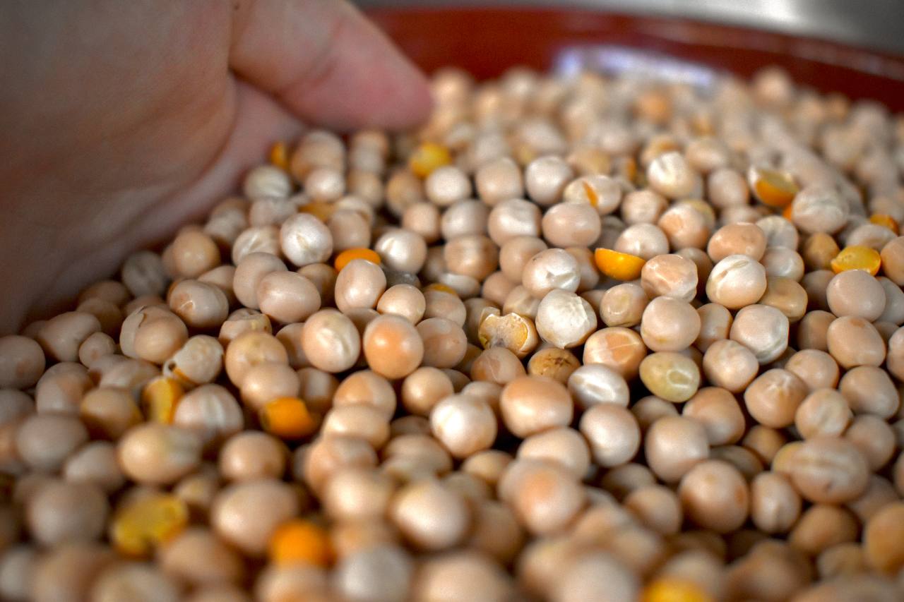 ¡3 Recetas originales con chícharos! – Blog MultiCuba