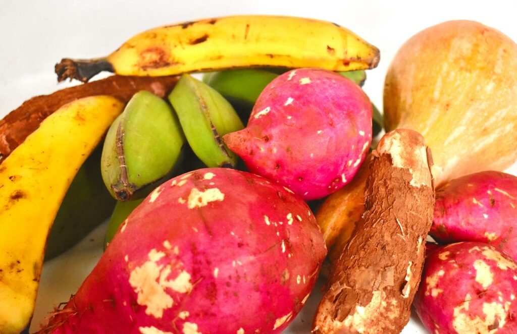 Recetas con viandas – Blog MultiCuba